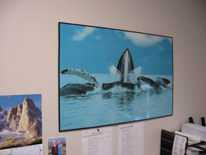 Foamcore Board Edge Protection | Edge Trim | MegaPrint